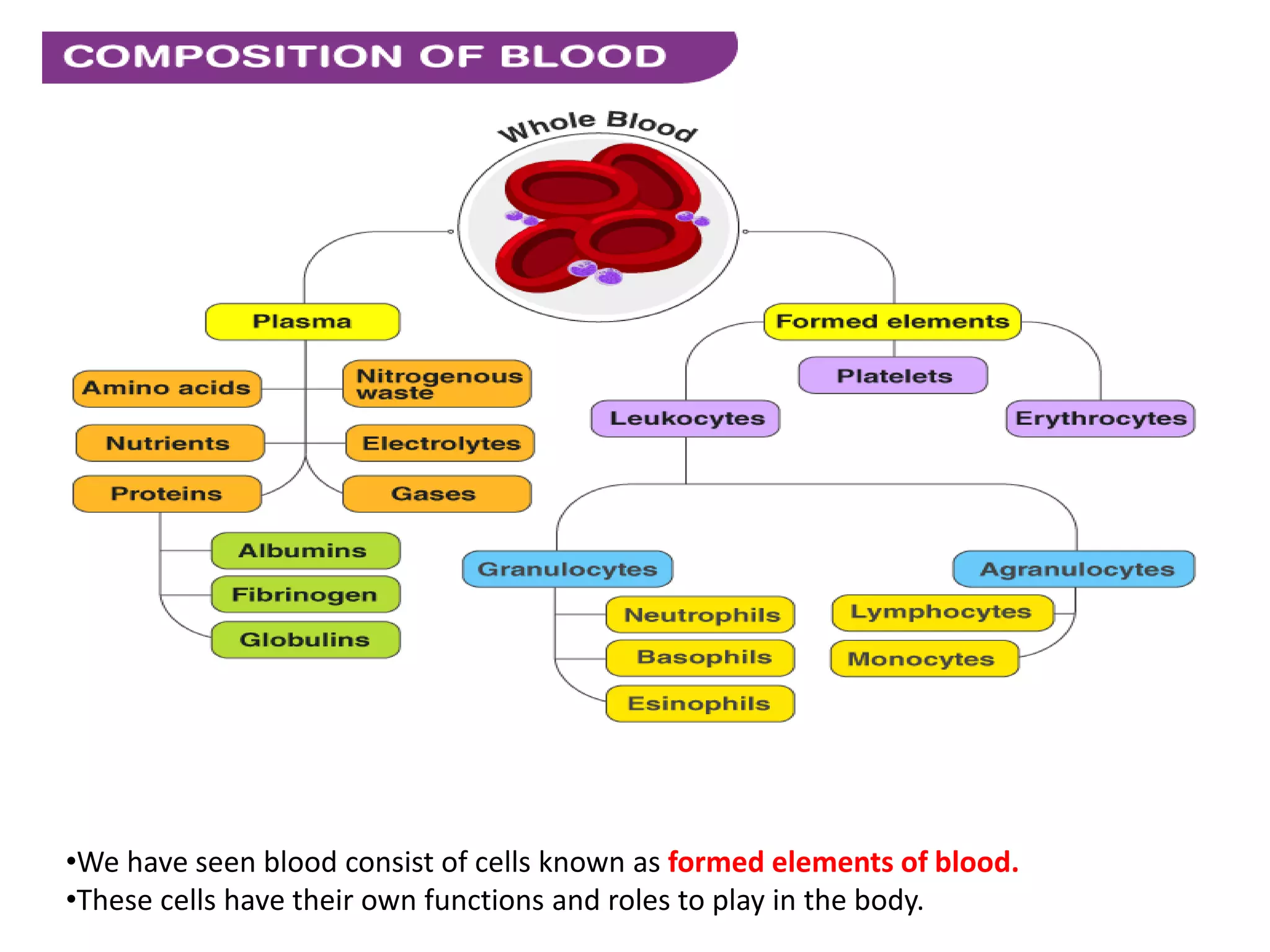 blood and its functions/B.pharmacy 2 semester | PPTX