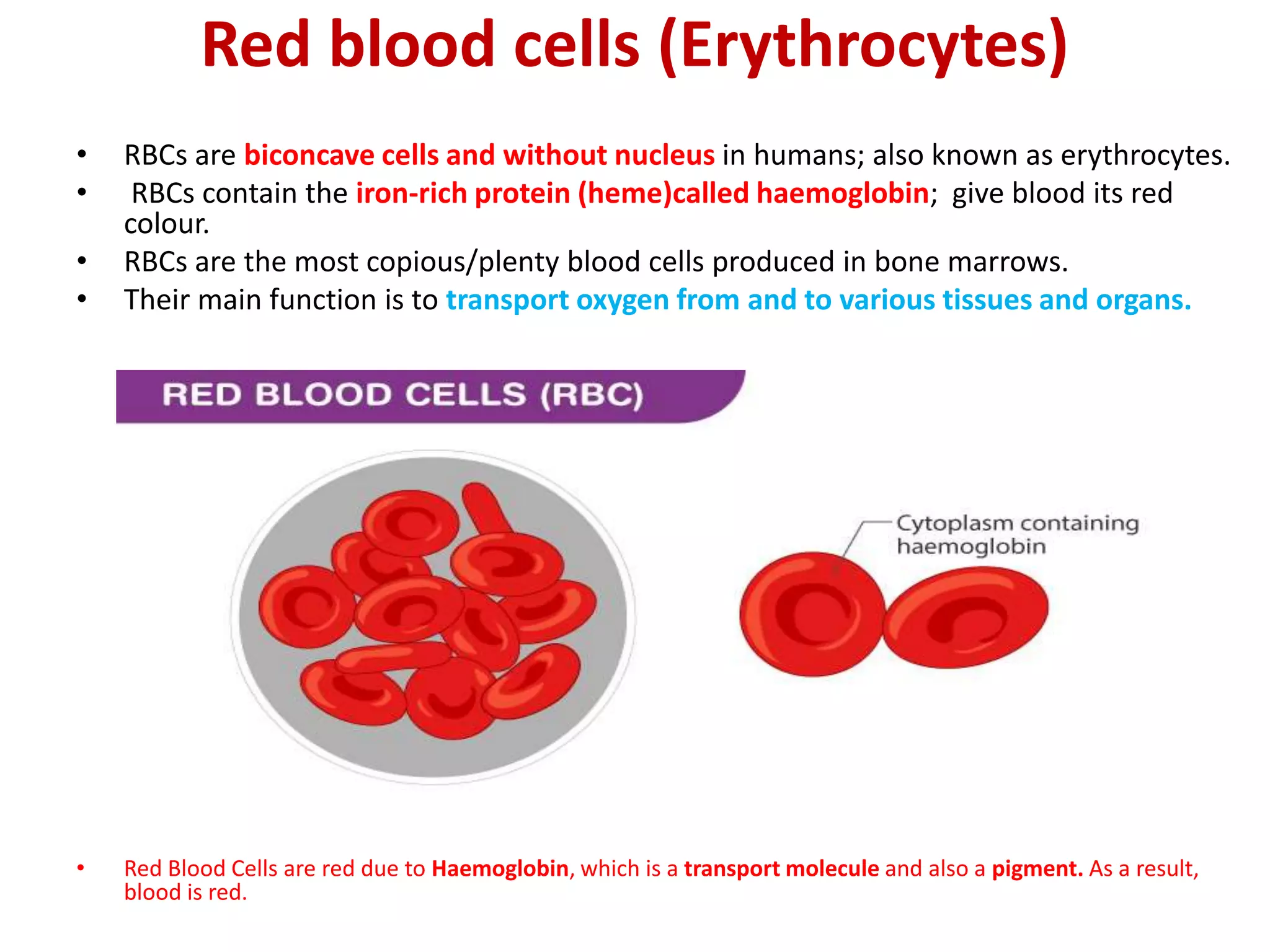 blood and its functions/B.pharmacy 2 semester | PPTX