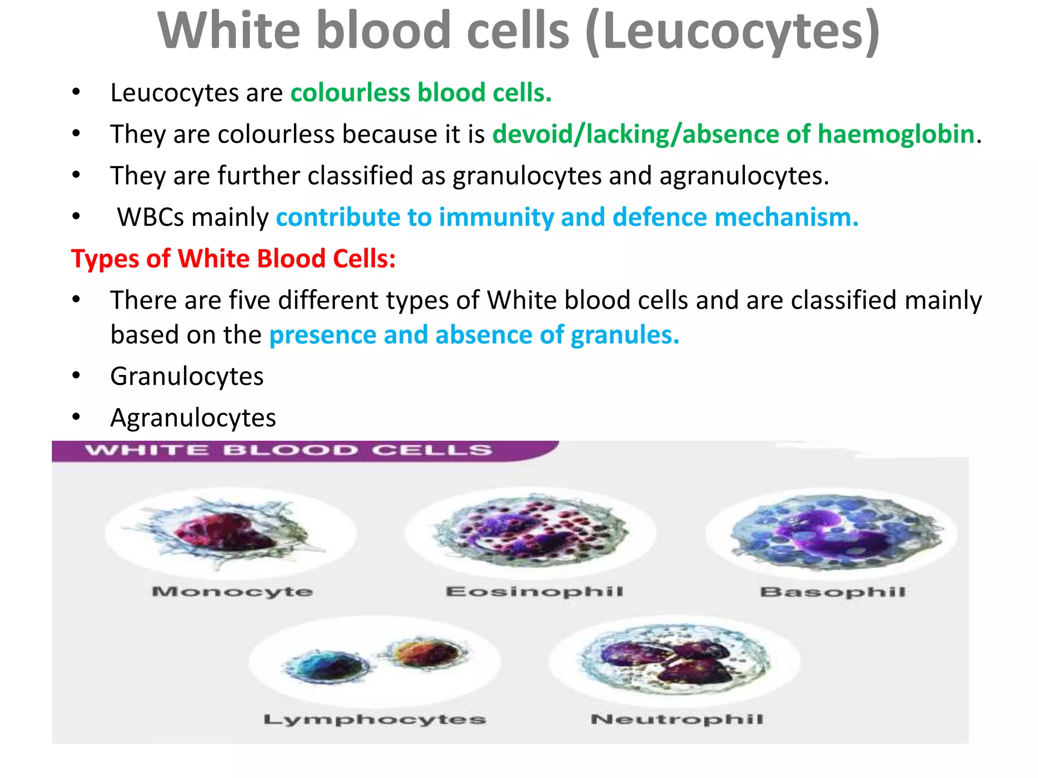 blood and its functions/B.pharmacy 2 semester | PPTX