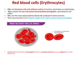 blood and its functions/B.pharmacy 2 semester | PPTX
