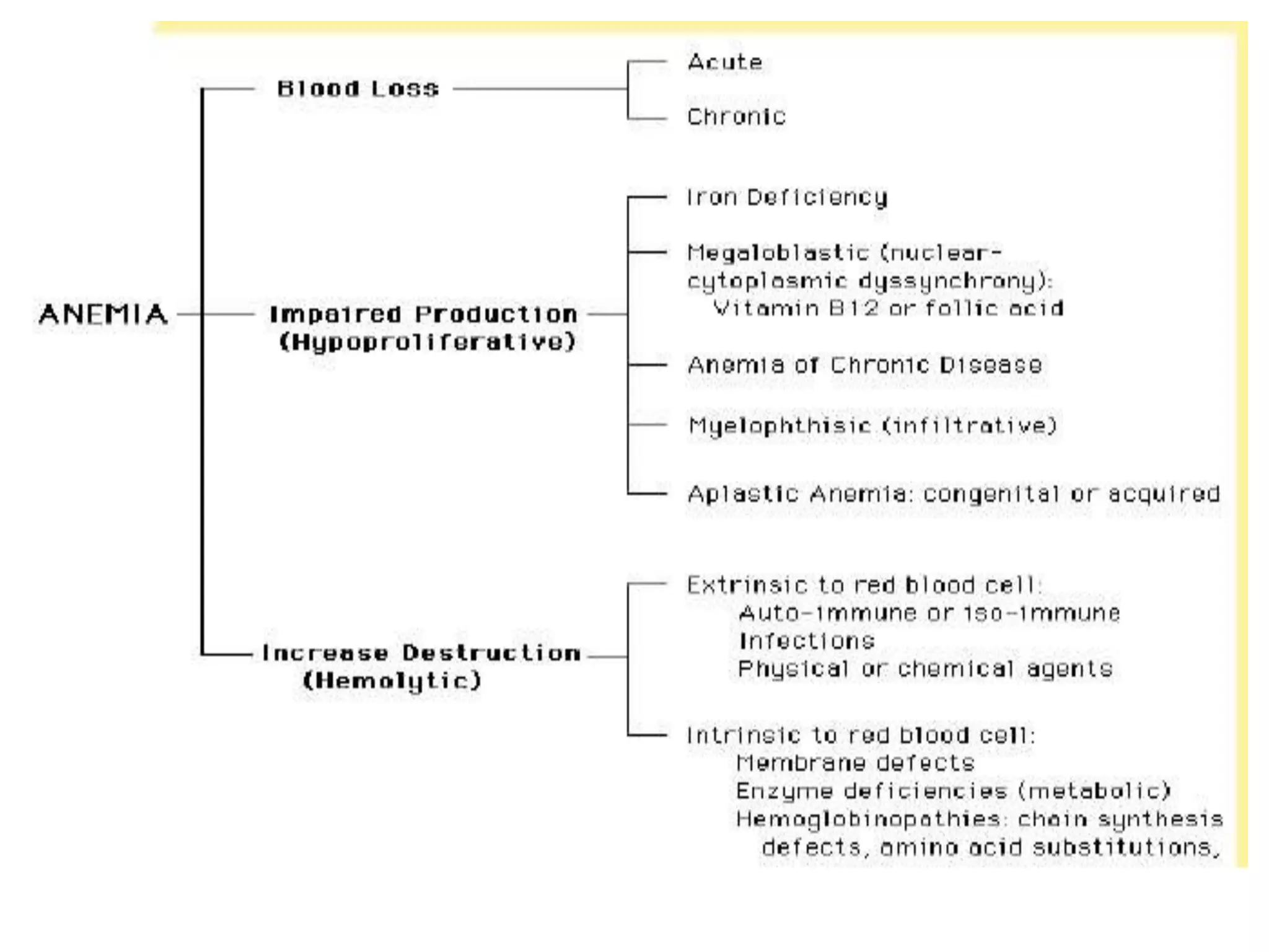 Blood disorders/B.pharmacy 2 semester | PPTX