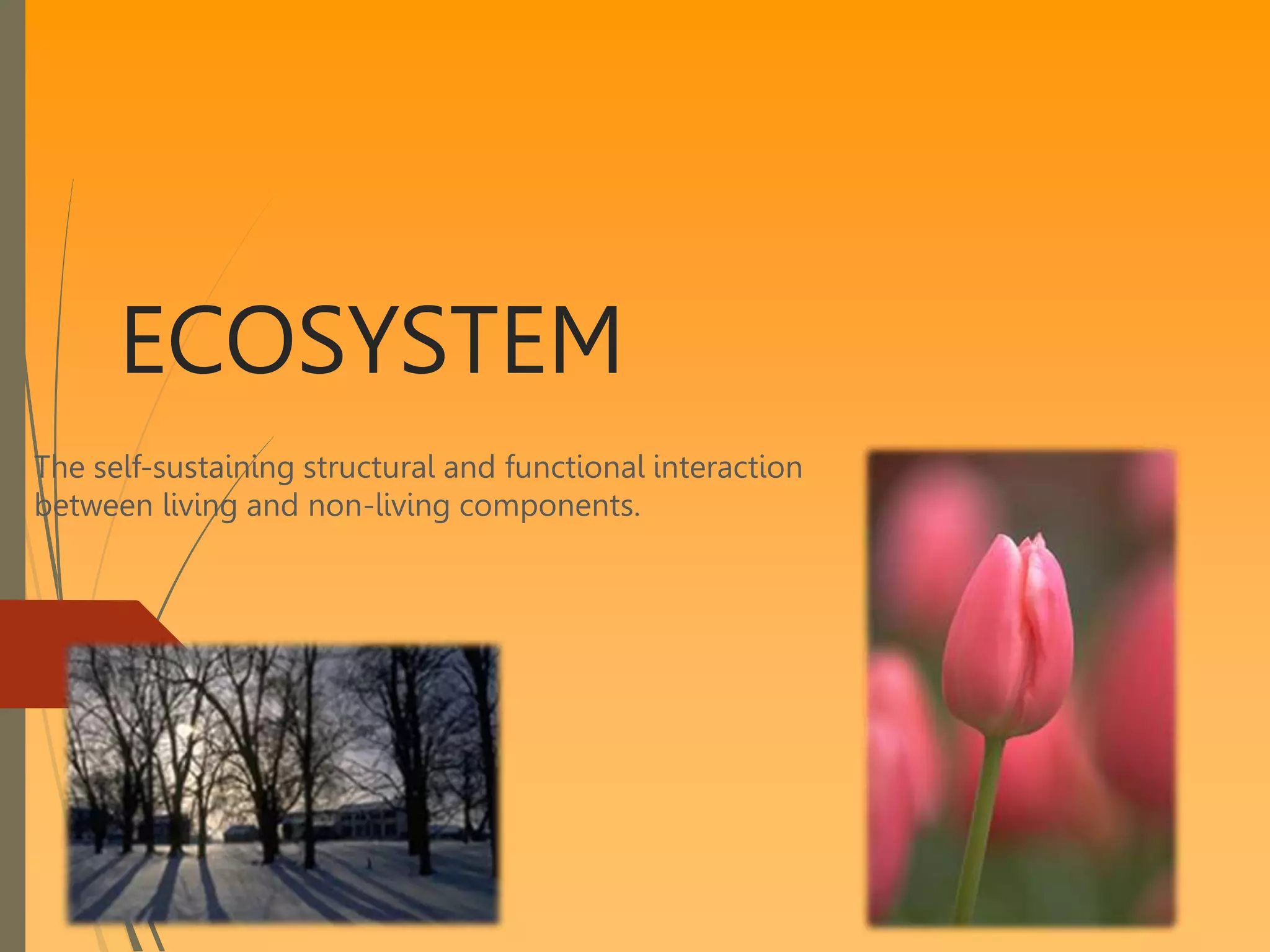 Unit-1 Ecosystems.pptx