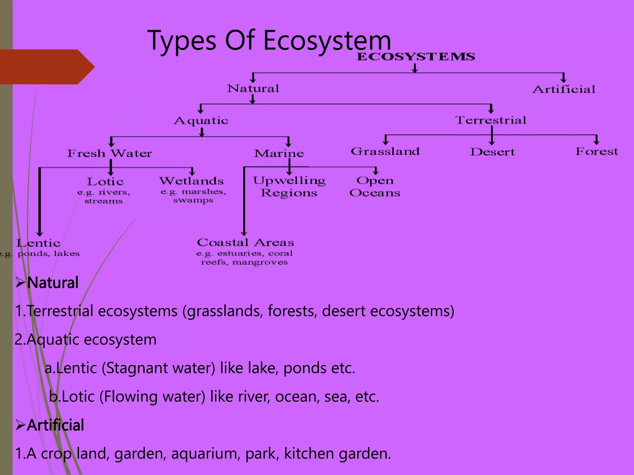 Unit-1 Ecosystems.pptx