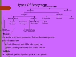 Unit-1 Ecosystems.pptx