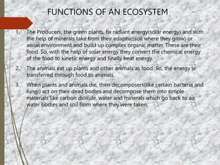 Unit-1 Ecosystems.pptx