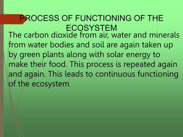Unit-1 Ecosystems.pptx