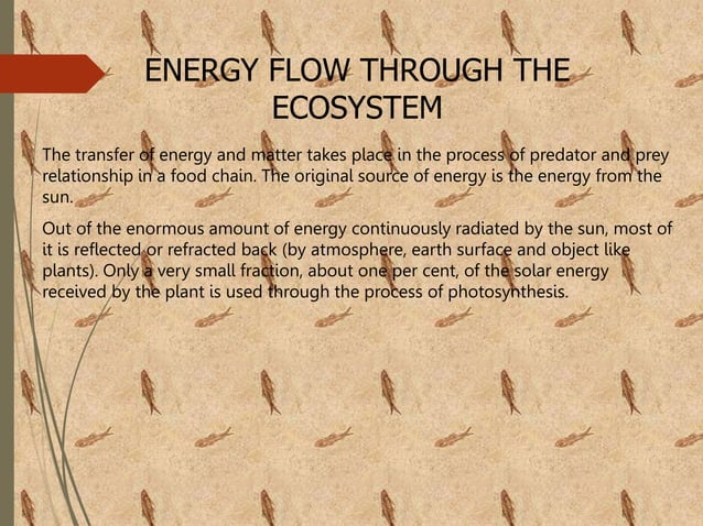 Unit-1 Ecosystems.pptx