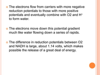 Unit- 1 Electron transport chain.pptxElectron transport chain detail ...