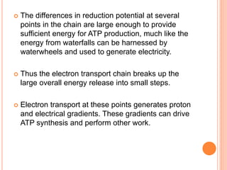 Unit- 1 Electron transport chain.pptxElectron transport chain detail ...
