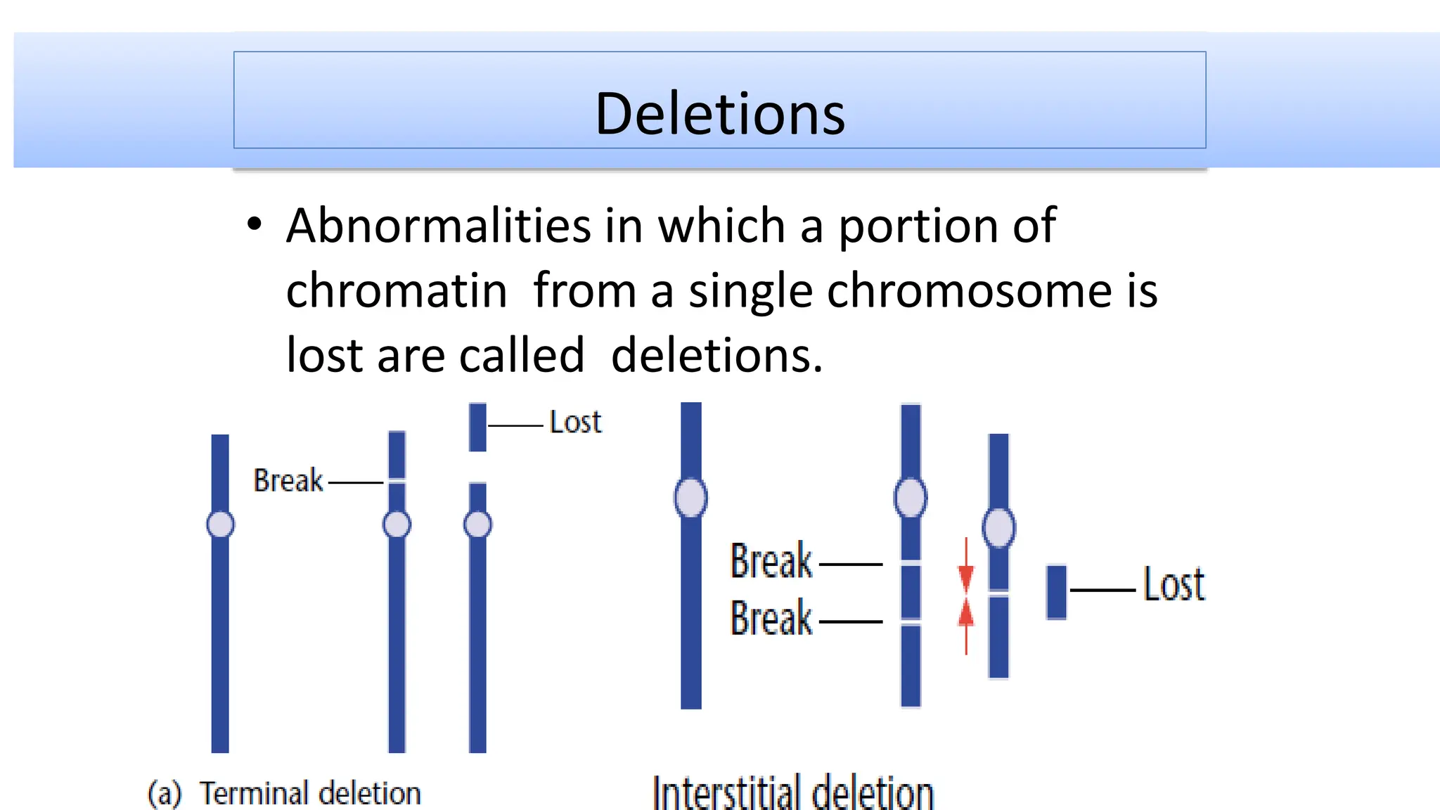 UNIT-1 GENETICS.pptx
