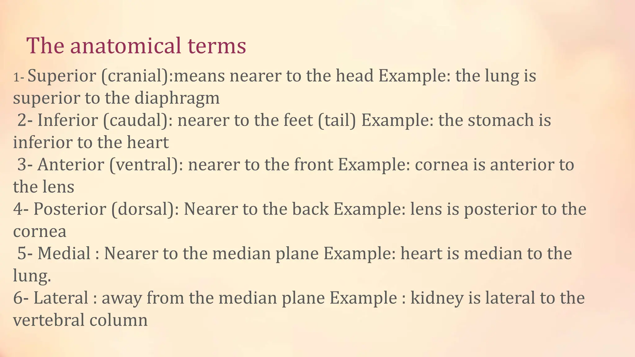 UNIT-1 INTRODUCTION TO ANATOMICAL TERMS ORGANIZATION OF THE BODY.pptx