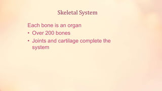 UNIT-1 INTRODUCTION TO ANATOMICAL TERMS ORGANIZATION OF THE BODY.pptx