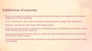 UNIT-1 INTRODUCTION TO ANATOMICAL TERMS ORGANIZATION OF THE BODY.pptx