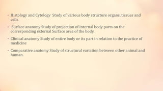 UNIT-1 INTRODUCTION TO ANATOMICAL TERMS ORGANIZATION OF THE BODY.pptx