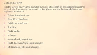 UNIT-1 INTRODUCTION TO ANATOMICAL TERMS ORGANIZATION OF THE BODY.pptx