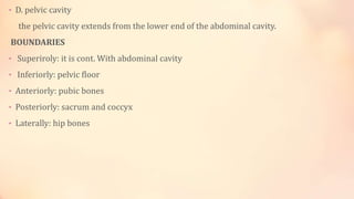 UNIT-1 INTRODUCTION TO ANATOMICAL TERMS ORGANIZATION OF THE BODY.pptx
