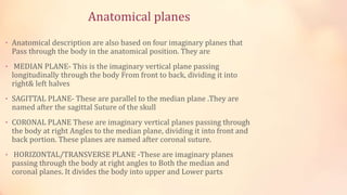 UNIT-1 INTRODUCTION TO ANATOMICAL TERMS ORGANIZATION OF THE BODY.pptx
