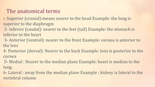 UNIT-1 INTRODUCTION TO ANATOMICAL TERMS ORGANIZATION OF THE BODY.pptx