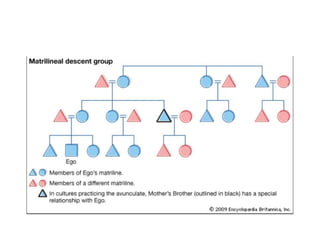 Unit-1 Kinship.pptx | Free Download