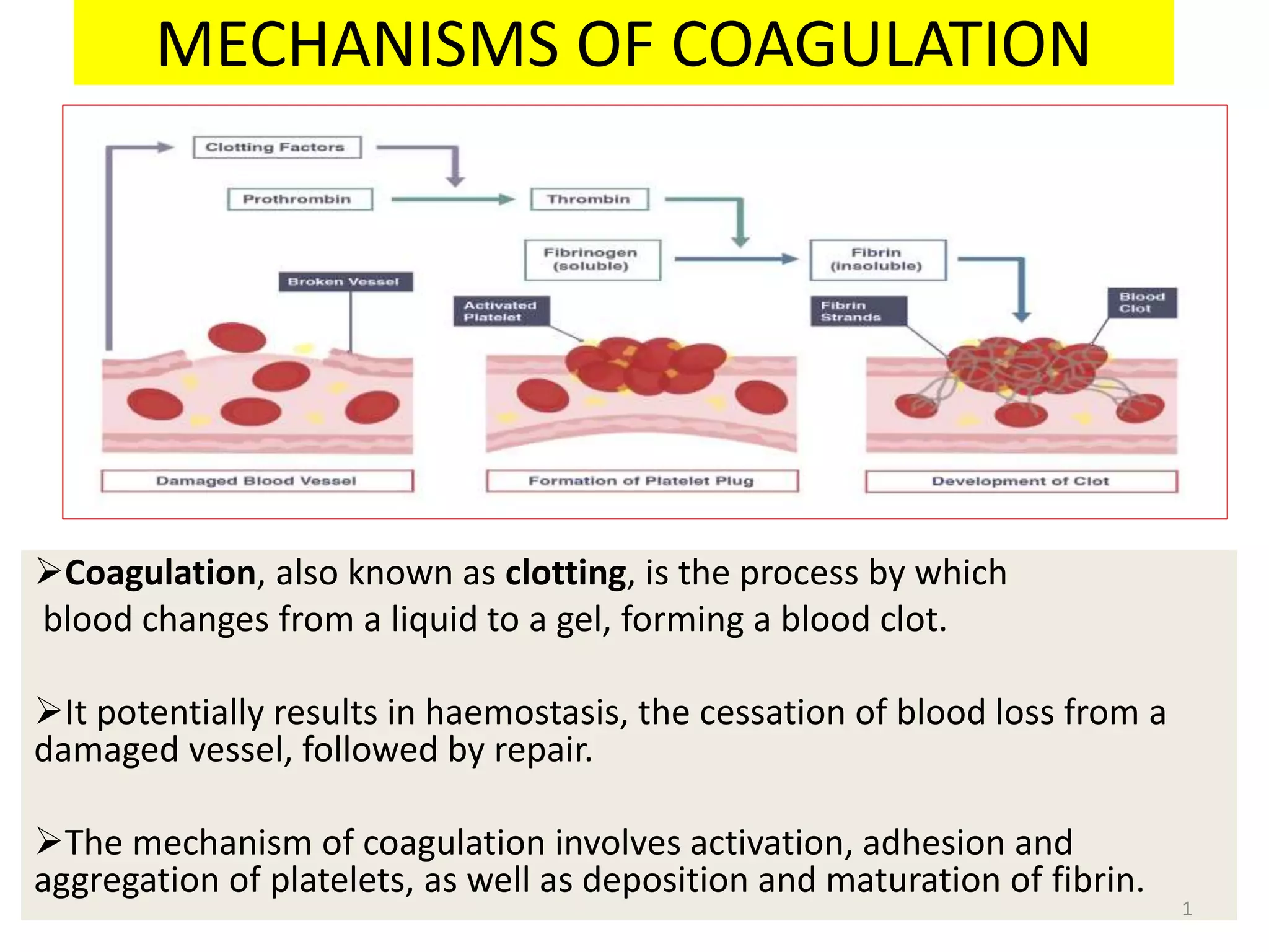 Mechanisms of coagulation B.pharmacy 2 semester | PPTX