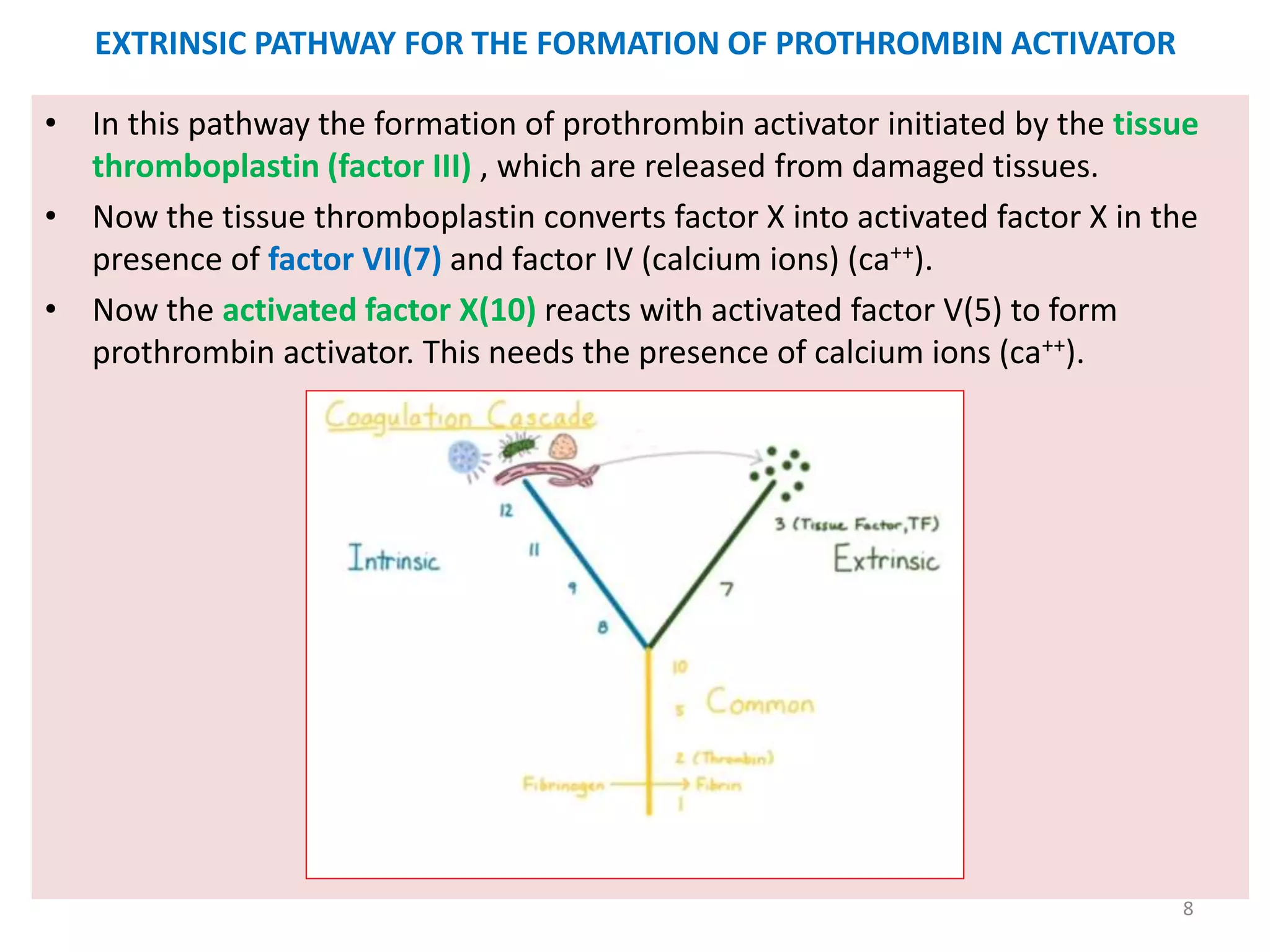 Mechanisms of coagulation B.pharmacy 2 semester | PPTX