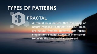 Exploring Patterns in Nature and the Fibonacci Sequence in Mathematics ...