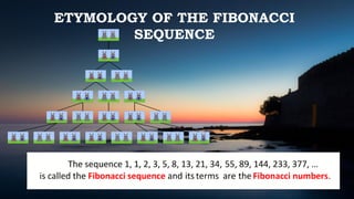 Exploring Patterns in Nature and the Fibonacci Sequence in Mathematics ...