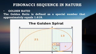 Exploring Patterns in Nature and the Fibonacci Sequence in Mathematics ...