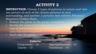 Exploring Patterns in Nature and the Fibonacci Sequence in Mathematics ...