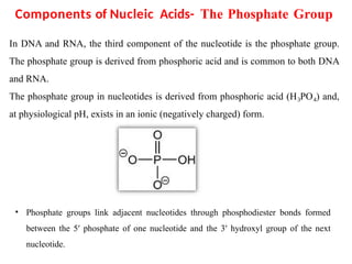 Unit-1_nucleic acids.pptx, Nuclein acid nots | PPTX