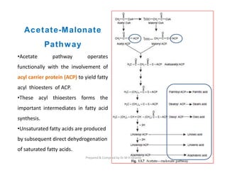 Unit 1 (pgphy-2 )by Dr M H Ghante | PPT