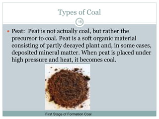Sources of Energy | PPTX