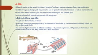 Unit-1 Respiration.pptx