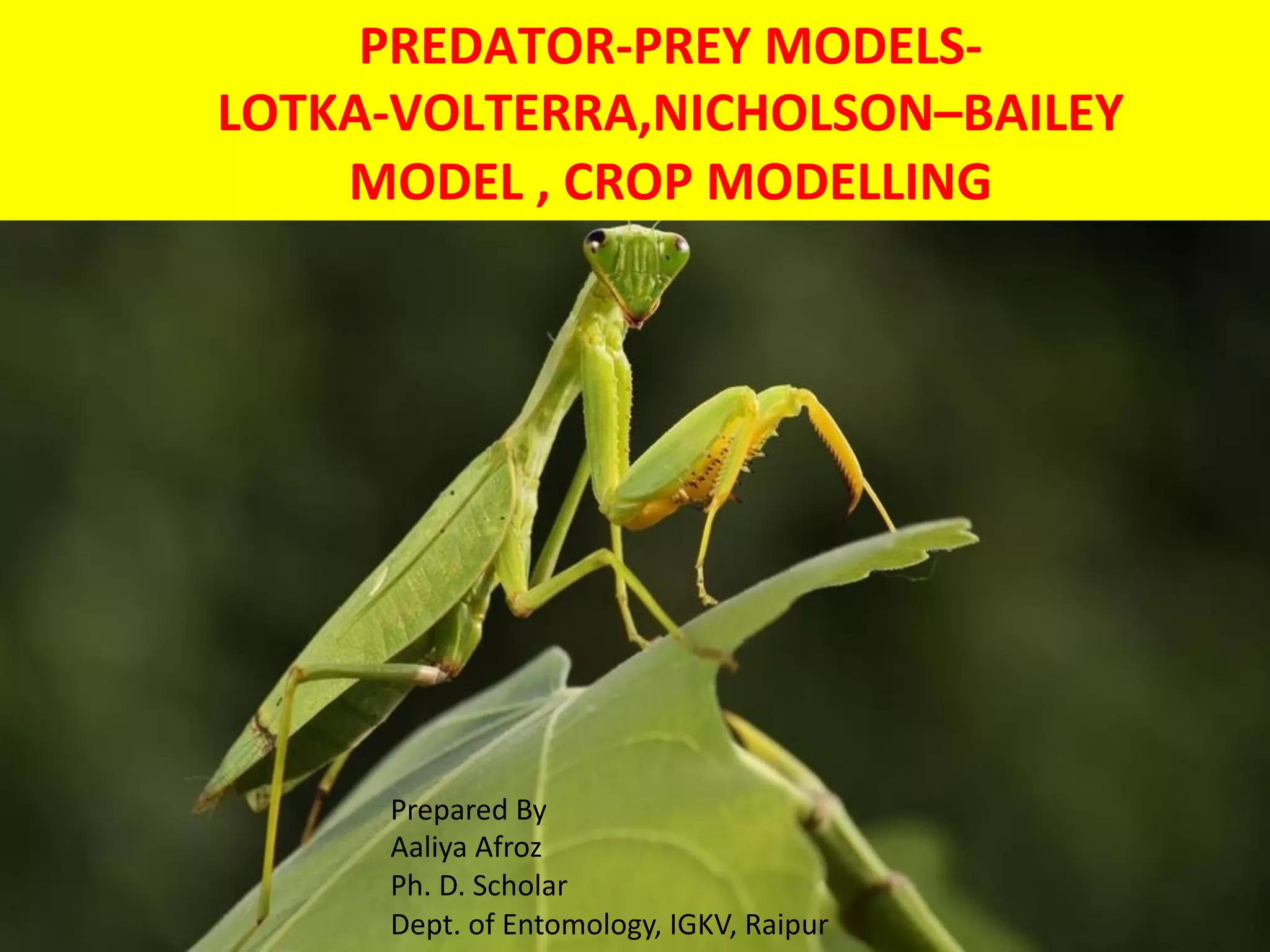 Predator- Prey Models- Lotka Voltera Model, Nicholson- Bailey Model ...