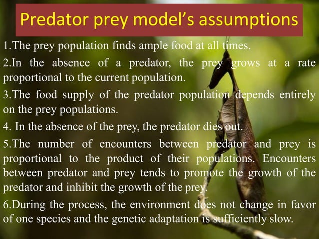 Predator- Prey Models- Lotka Voltera Model, Nicholson- Bailey Model, Crop Modelling | PDF ...