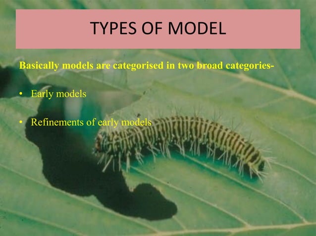 Predator- Prey Models- Lotka Voltera Model, Nicholson- Bailey Model ...