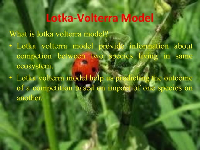 Predator- Prey Models- Lotka Voltera Model, Nicholson- Bailey Model ...