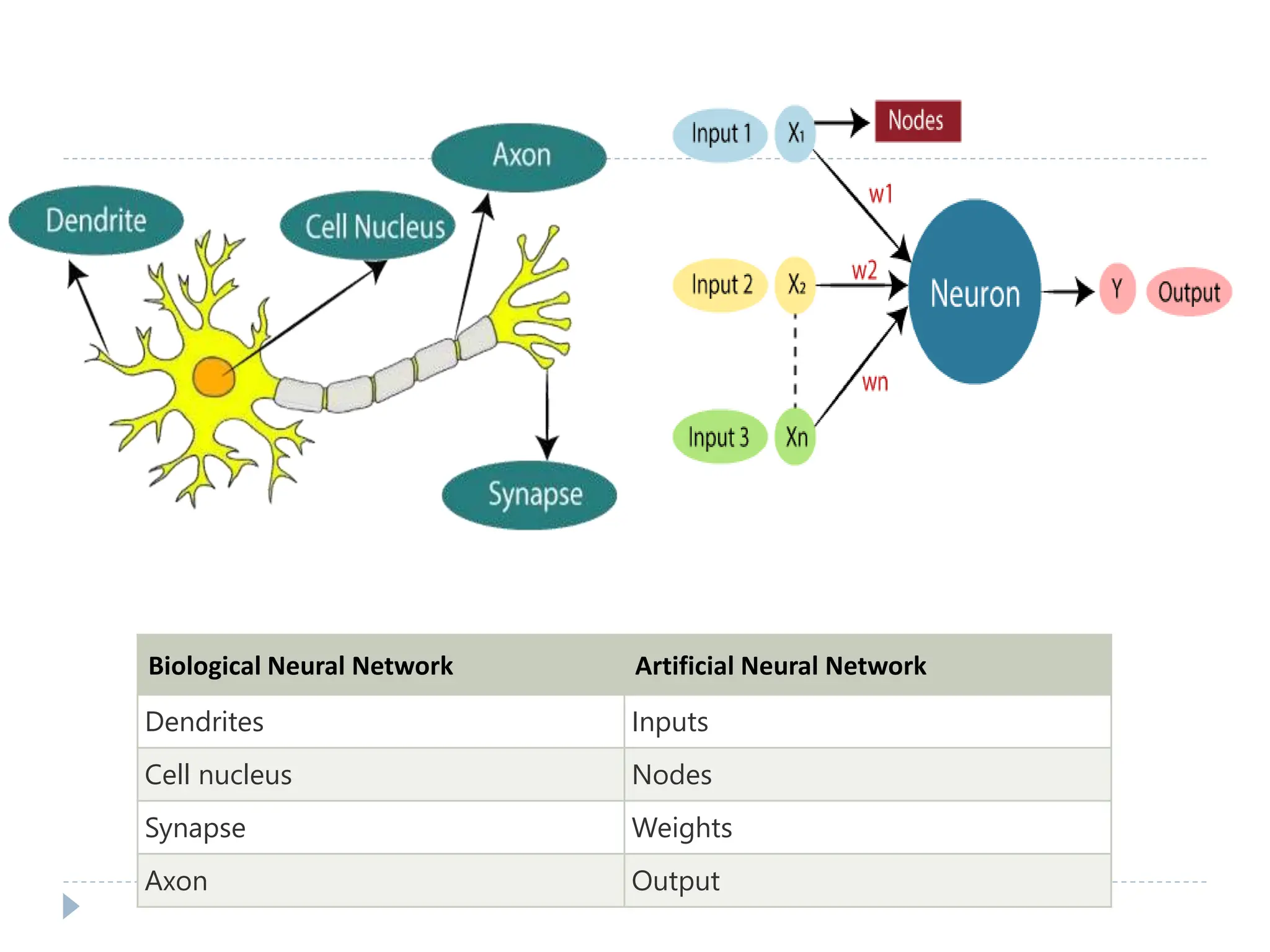 Deep learning Techniques JNTU R20 UNIT 2 | PPTX