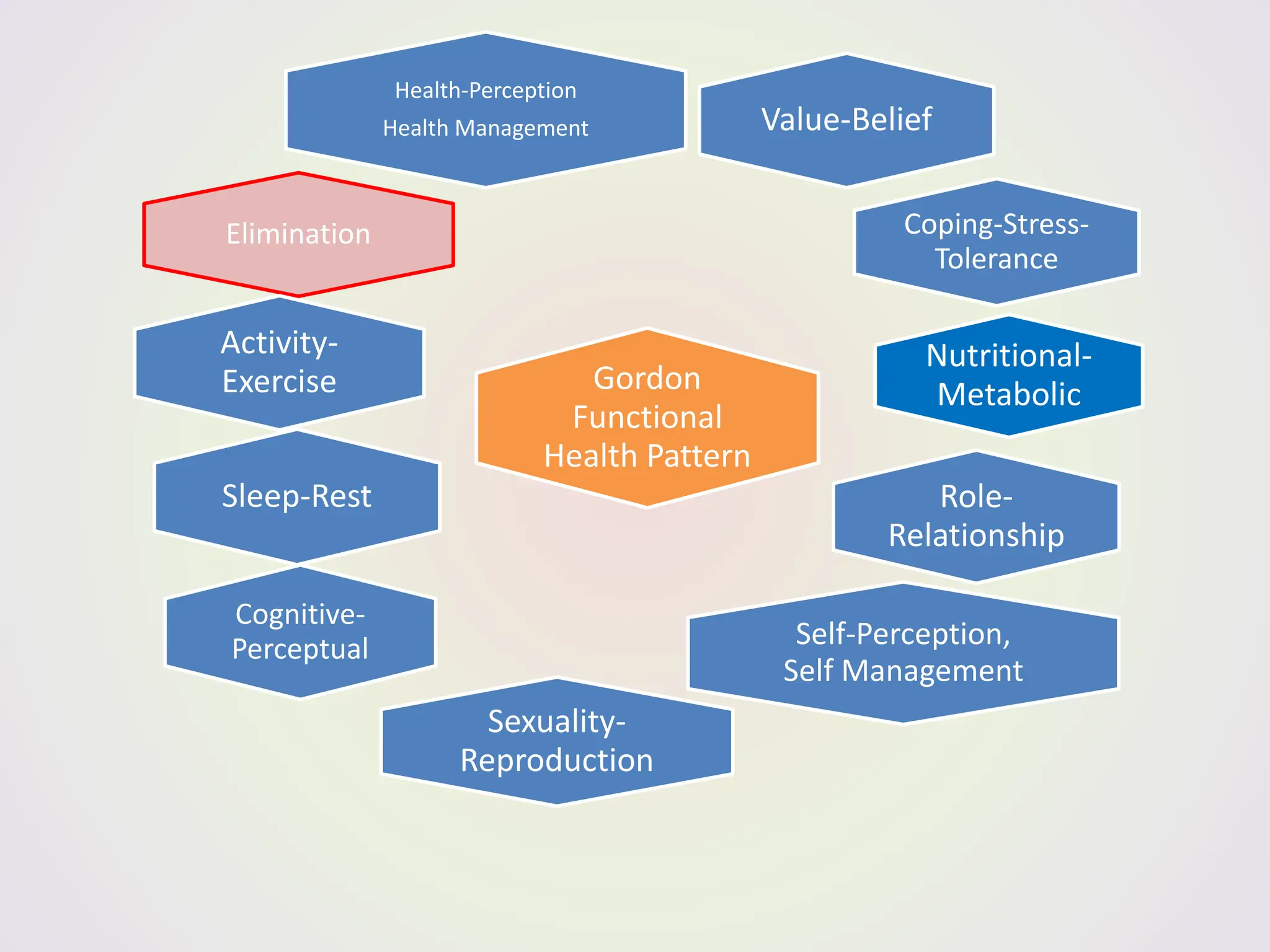 Le-3 Gordan Functionla health patterns.ppt