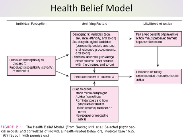 Le-3 Gordan Functionla health patterns.ppt | Physical Therapy | Wellness