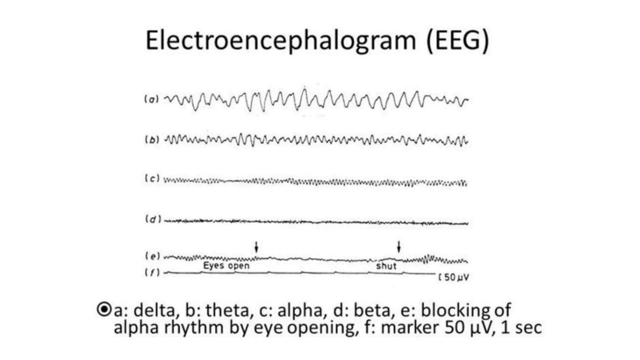Biosignal: ECG, EEG and EMG | PPTX