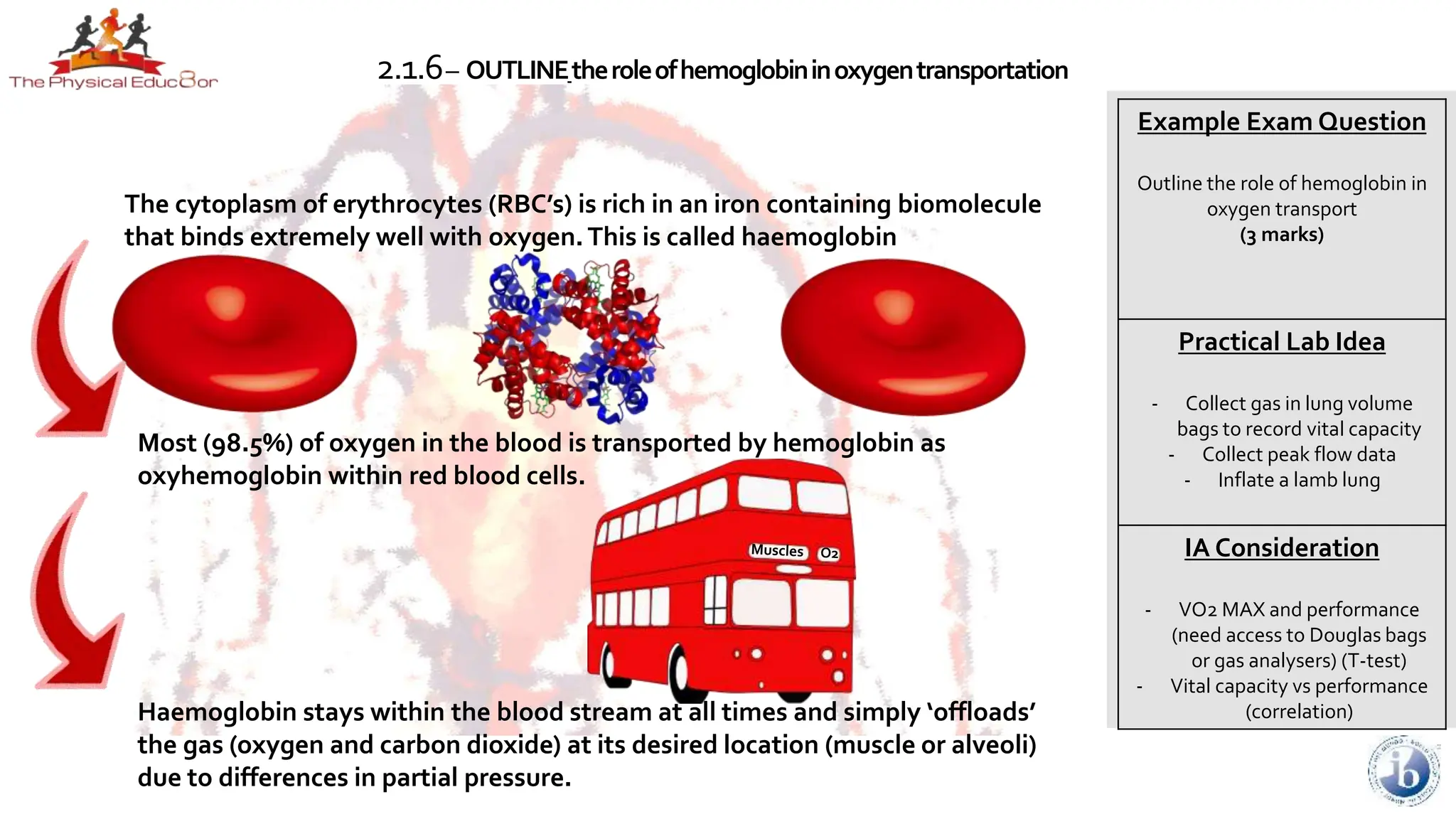 Unit-2-Cardiorespiratory-System.pptx