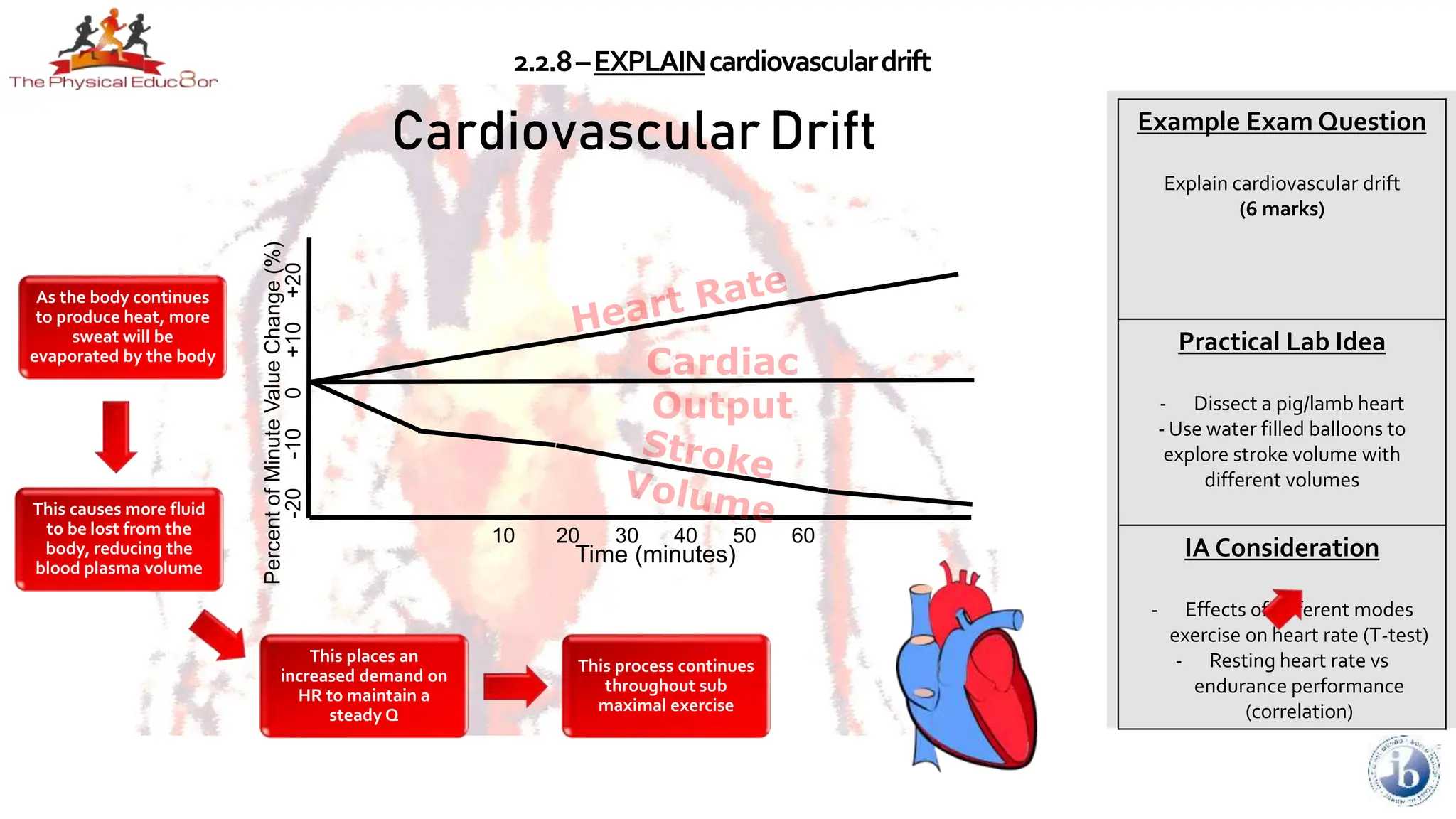Unit-2-Cardiorespiratory-System.pptx