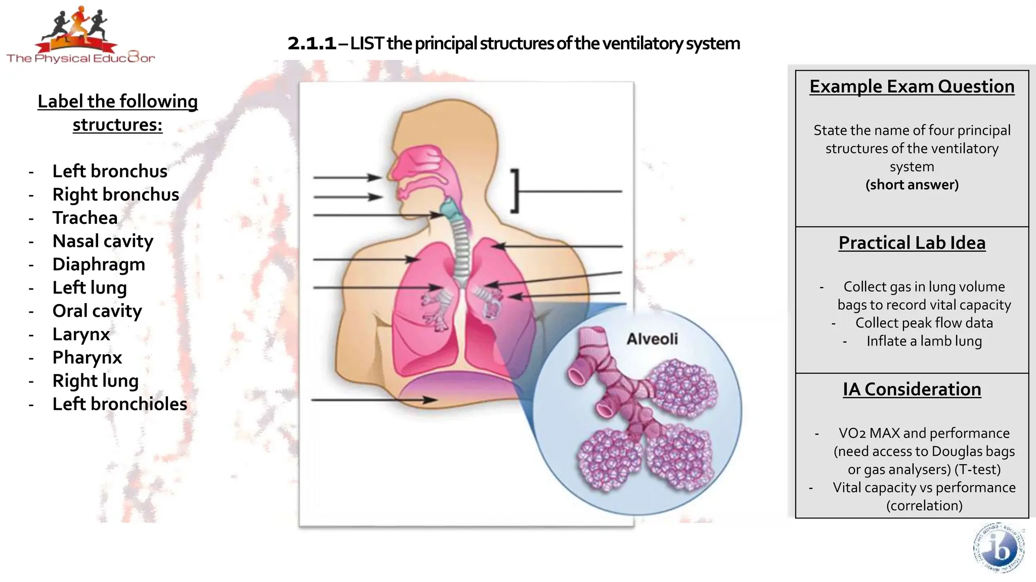 Unit-2-Cardiorespiratory-System.pptx