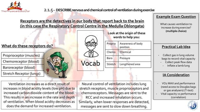 Unit-2-Cardiorespiratory-System.pptx