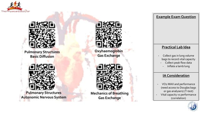 Unit-2-Cardiorespiratory-System.pptx