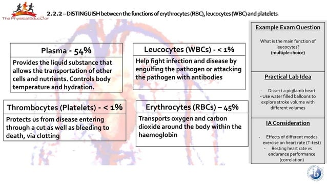 Unit-2-Cardiorespiratory-System.pptx