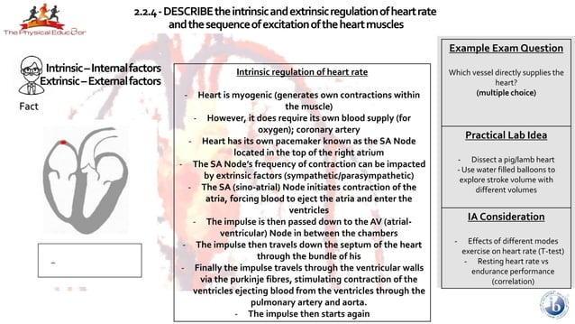 Unit-2-Cardiorespiratory-System.pptx