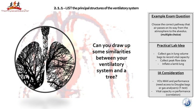 Unit-2-Cardiorespiratory-System.pptx