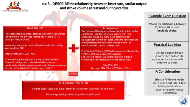 Unit-2-Cardiorespiratory-System.pptx